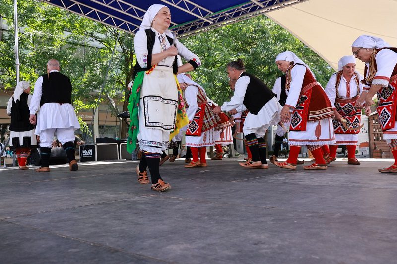 Dan nacionalnih manjina Osječko-baranjske županije - Osijek Danas